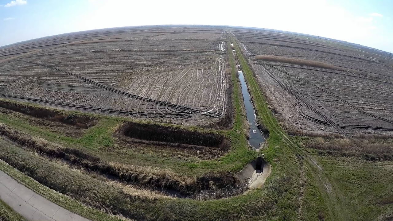 Wild Rice Fields Kisújszállás, Hungary - YouTube