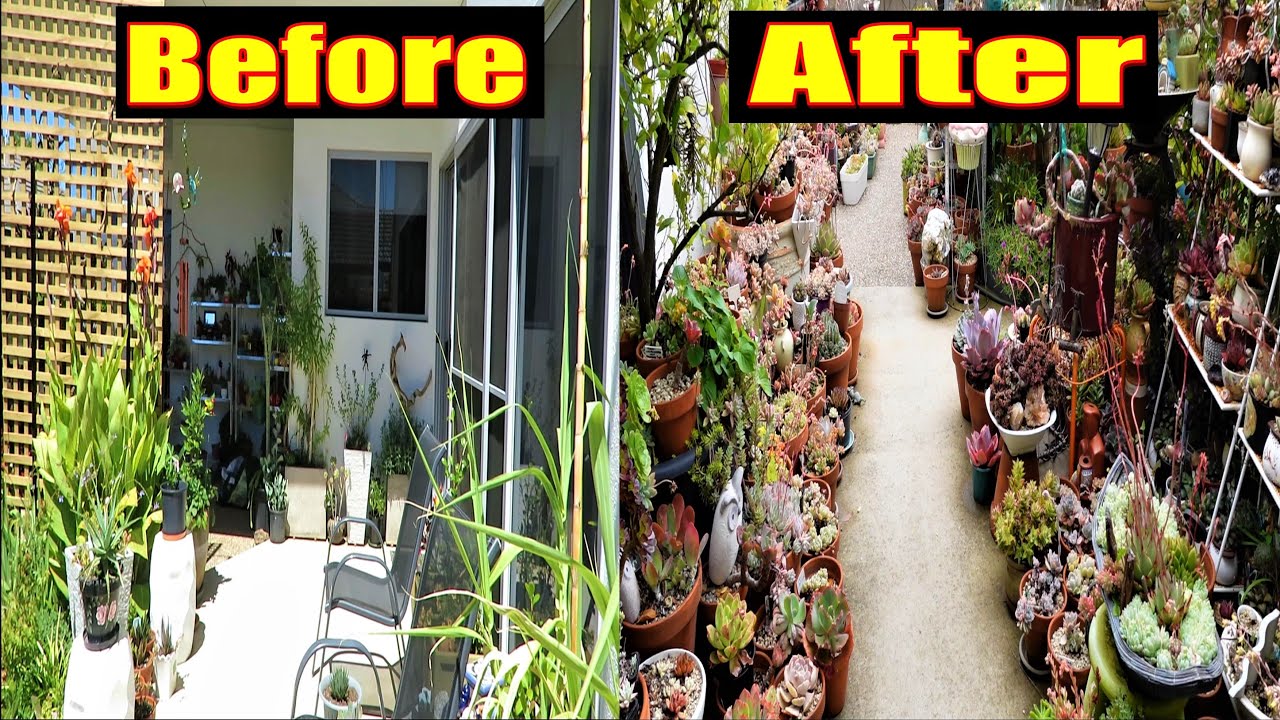 GENESIS Of A Succulent Addict | PART 1 - In The Beginning - YouTube