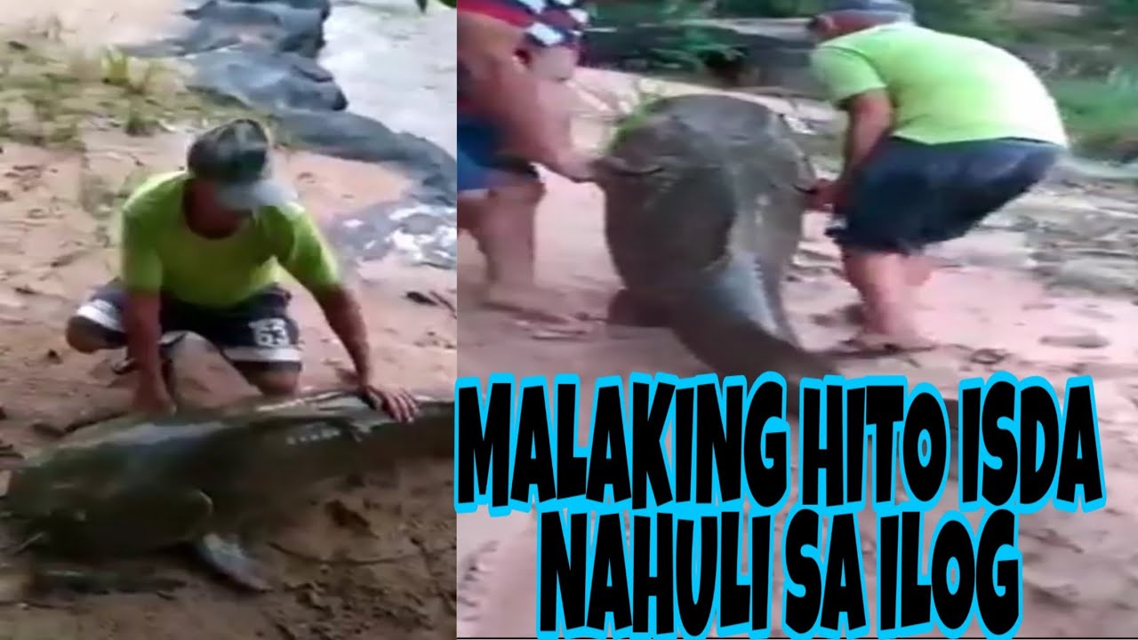 PINAKAMALING HITO ISDA NA NAHULI KASANGGA - YouTube