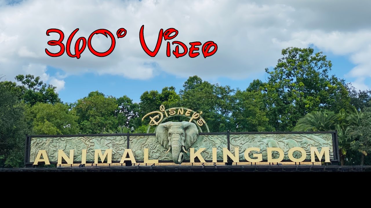 4K 360 Degree Disney's Animal Kingdom | Walt Disney World - YouTube