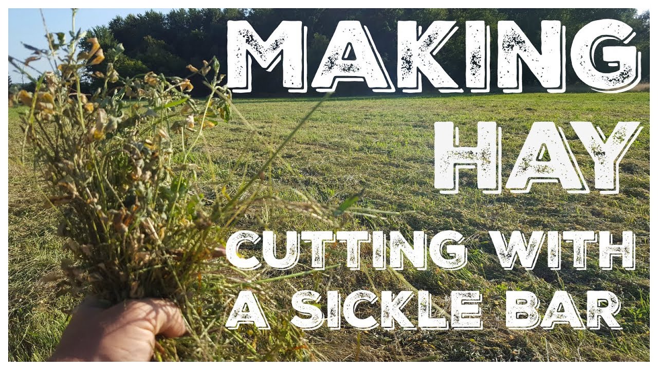 Making Hay - Cutting Hay With a Sickle Bar - YouTube
