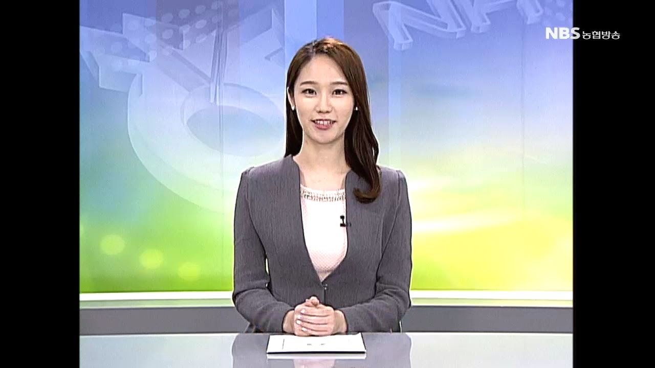 NBS뉴스 (20161109) - YouTube