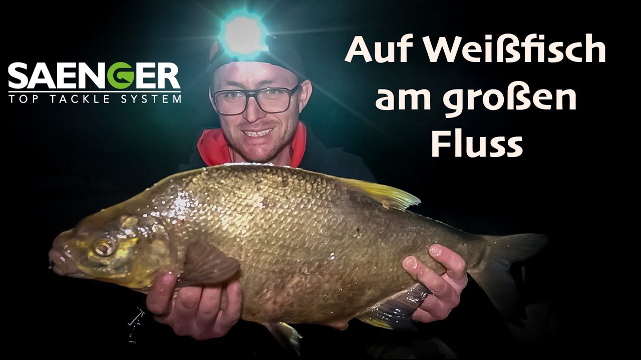 Feedern am Rhein | Nachtangeln auf Weißfisch am großen Fluss | Andis ...