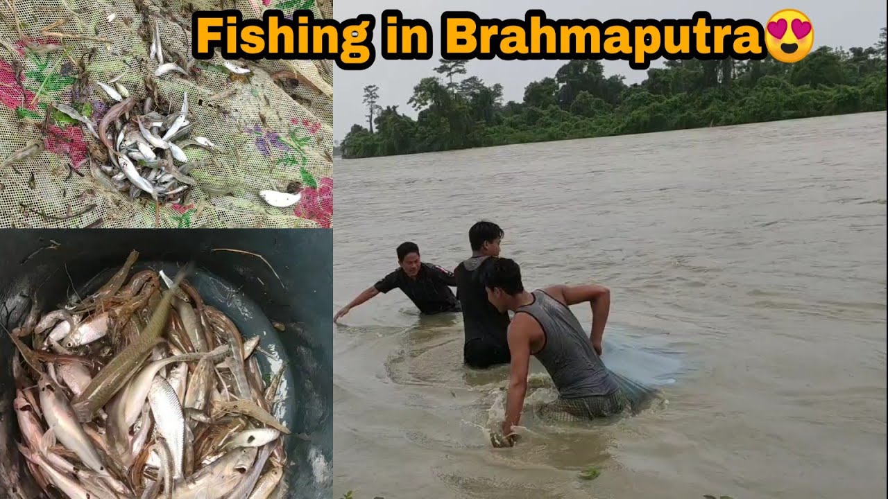 Fishing In Rain At The Bank Of Brahmaputra River With Mosquito Net ...