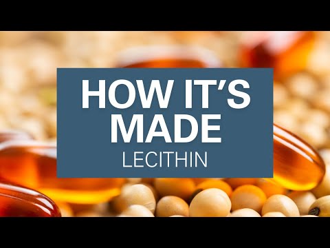 What Is Sunflower Lecithin Made From