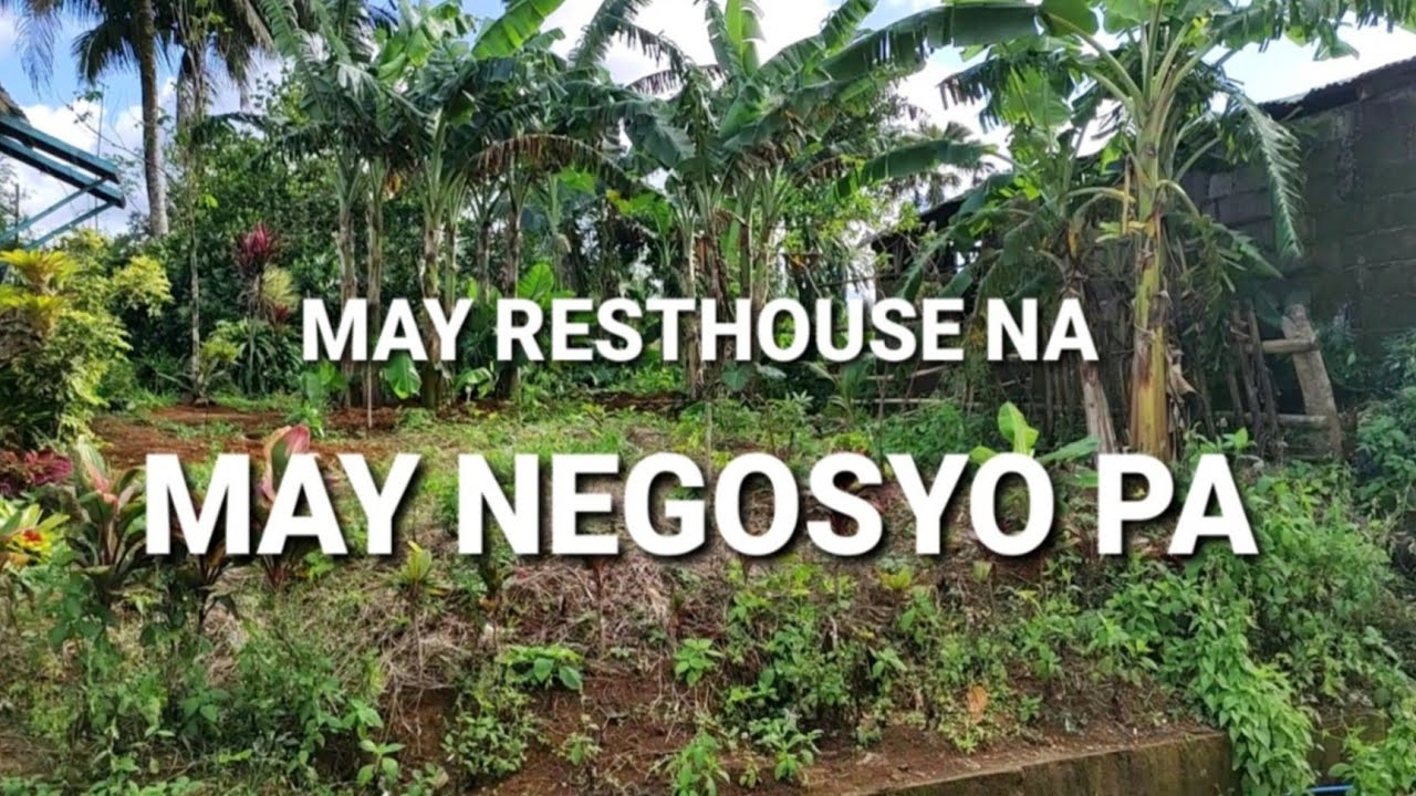 463 1 000 SQ METER RESIDENTIAL LOT YouTube 463-1-000-sq-meter-residential-lot-youtube