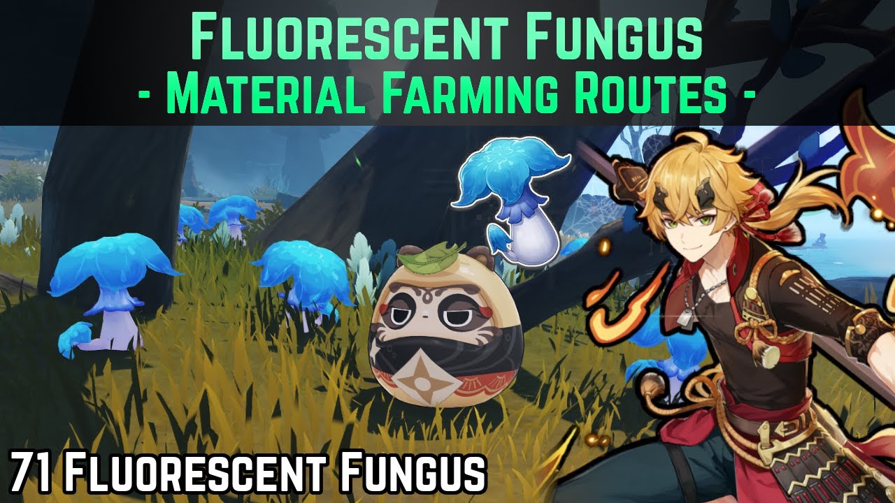 Fluorescent Fungus Farming Routes (71 to Collect!) | Genshin Impact ...