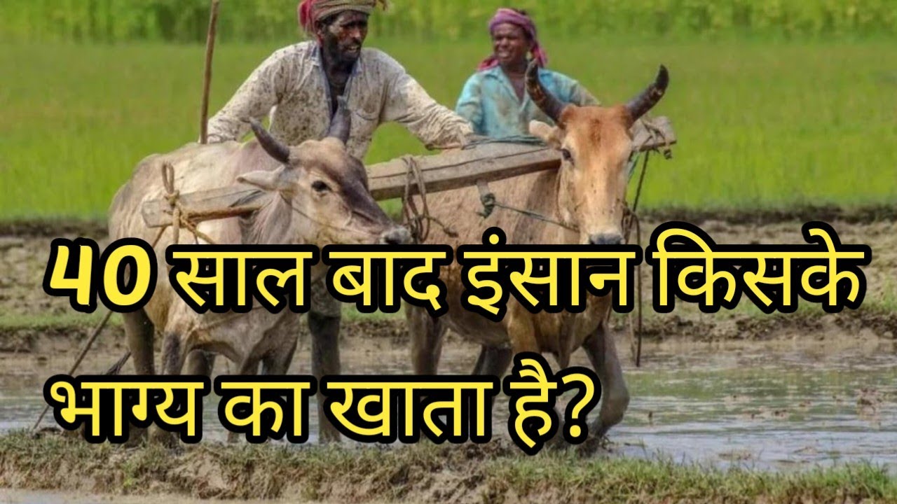 Whose Fortune Does A Person Eat After 40 Years story farming whose-fortune-does-a-person-eat-after-40-years-story-farming