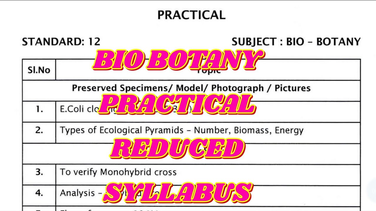 TN SCHOOL REOPEN LATEST OFFICIAL UPDATES REDUCED SYLLABUS | CLASS 12 ...