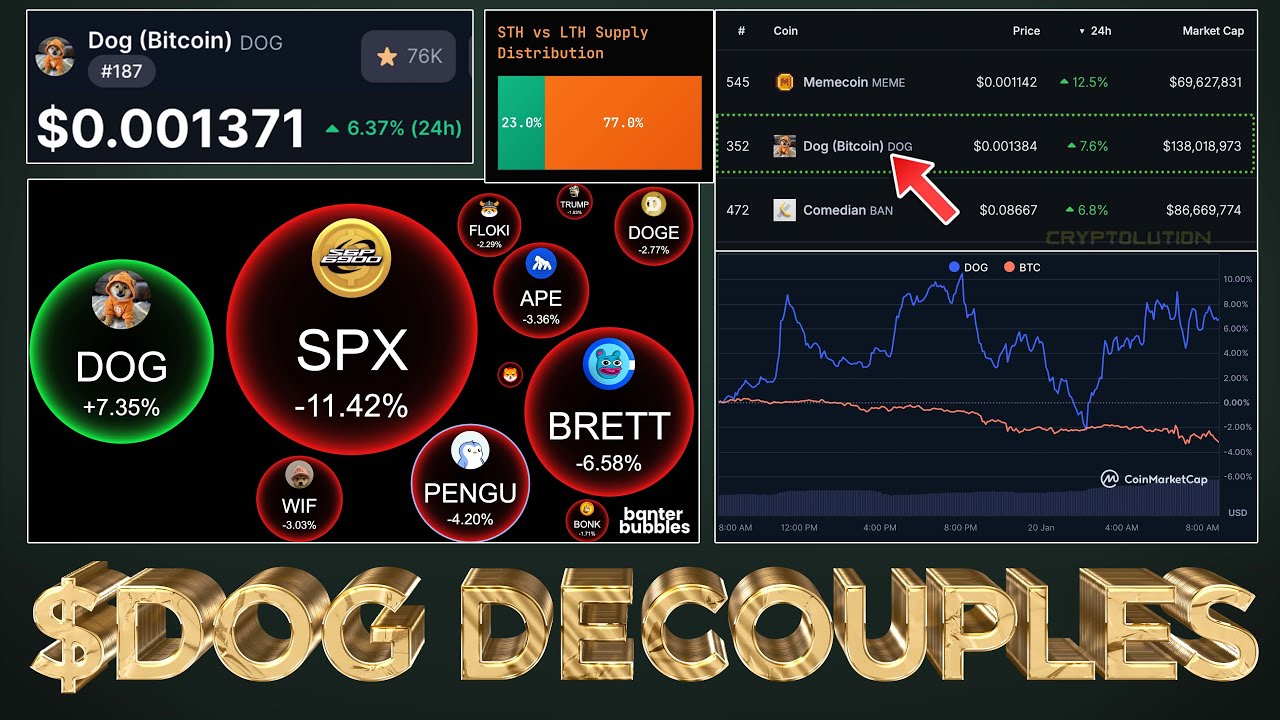 🚨JUST IN: $DOG (Bitcoin) is the 2nd Highest Gainer Right Now 🚀 - YouTube