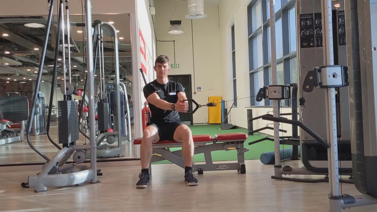 Seated cable rotations - YouTube
