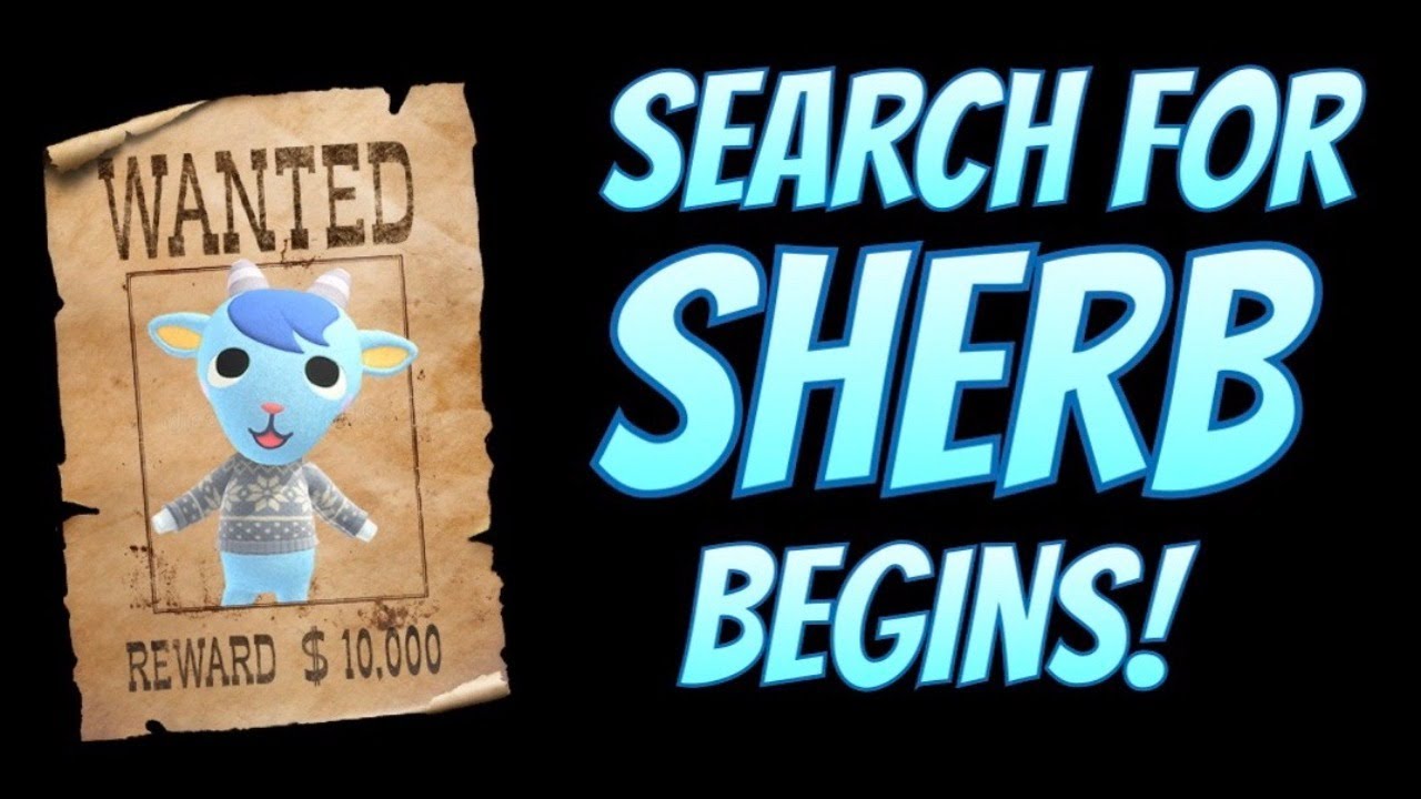 Official Search for Sherb BEGINS - YouTube