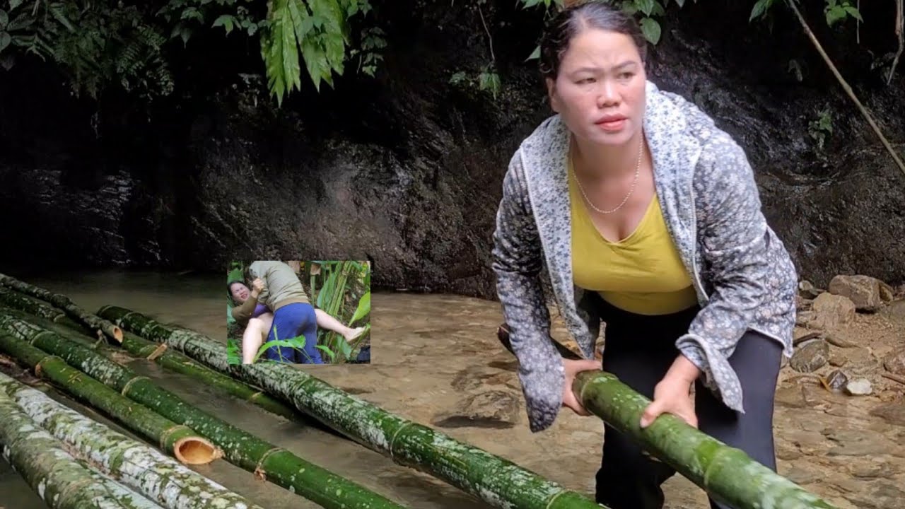 Moving bamboo trees along streams, preparing to build a new house and ...