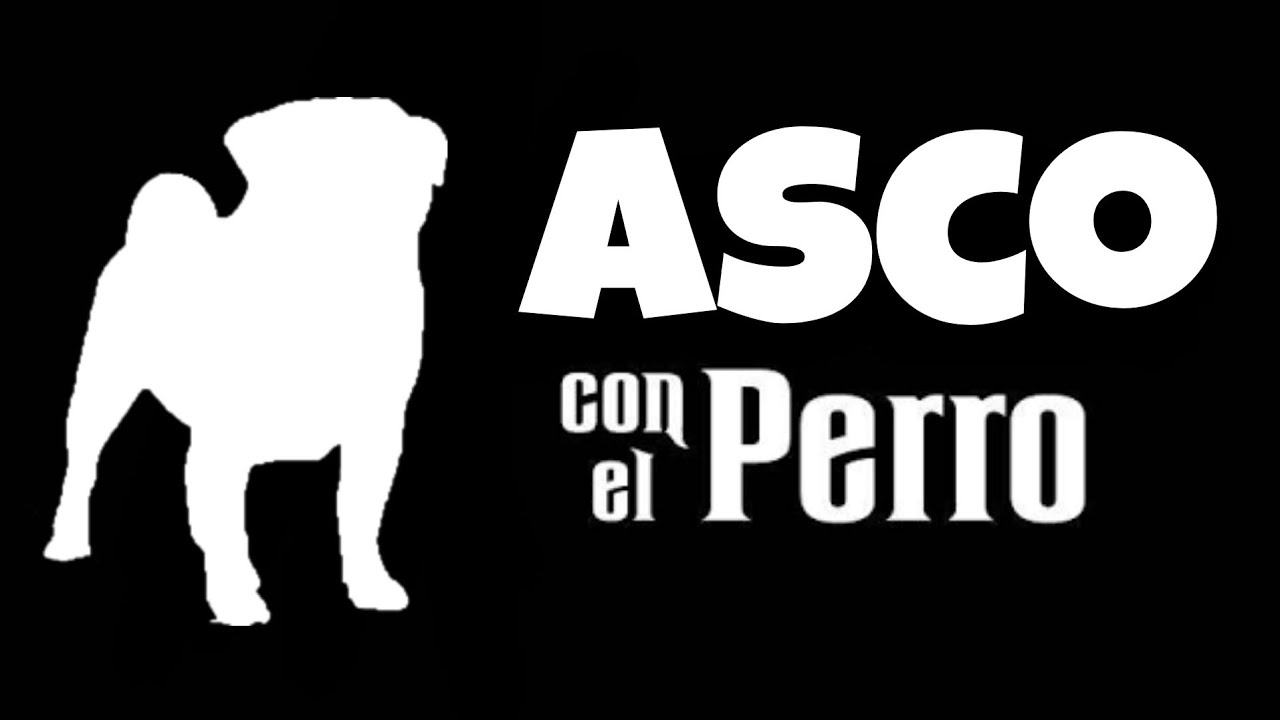Odio A Los Pugs | ISASU - YouTube