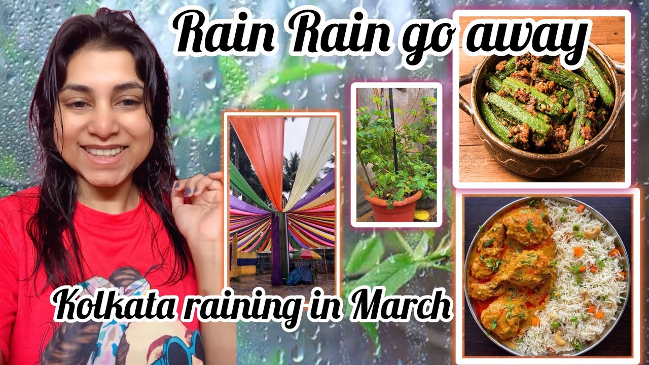 Daily Vlog// it started raining badly// a holi event got cancelled 💦😖 ...