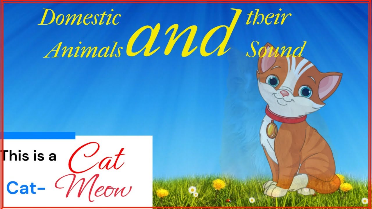 Domestic and Pet Animals, their sounds and name of pet animal sounds ...