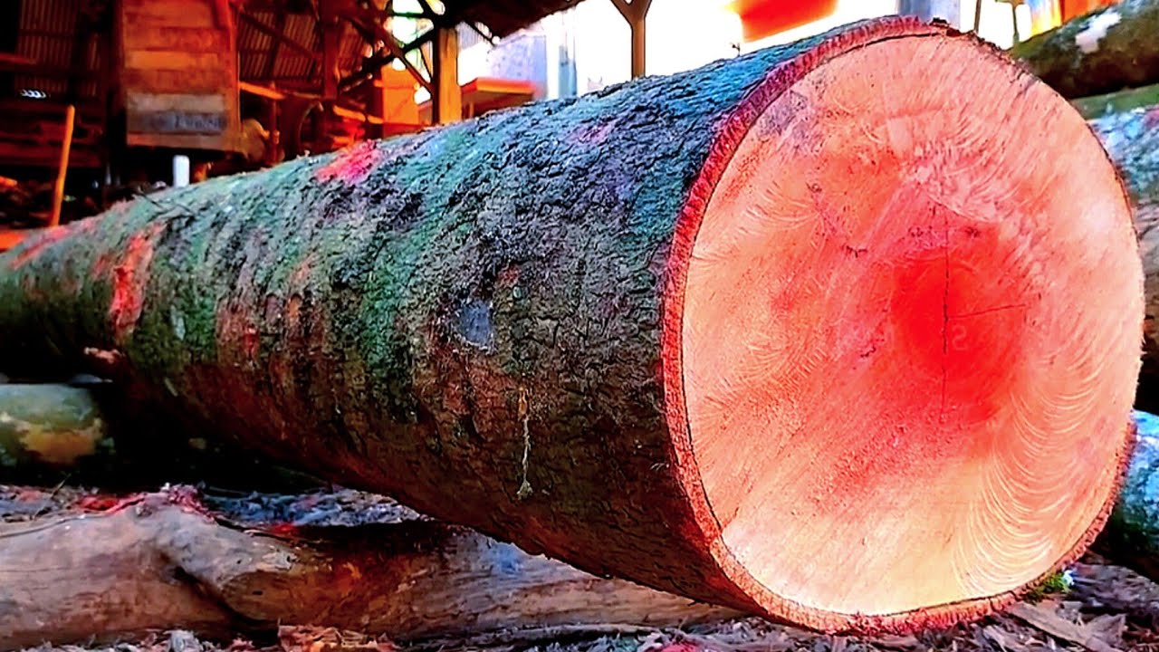Incredible Modern Woodworking Factory || Excellent Sawmill Extreme ...