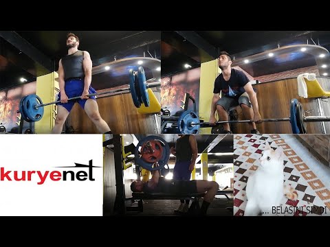 KURYECİ SORUNSALI VS ATEİST KEDİ ~ [ EP2 ] ~