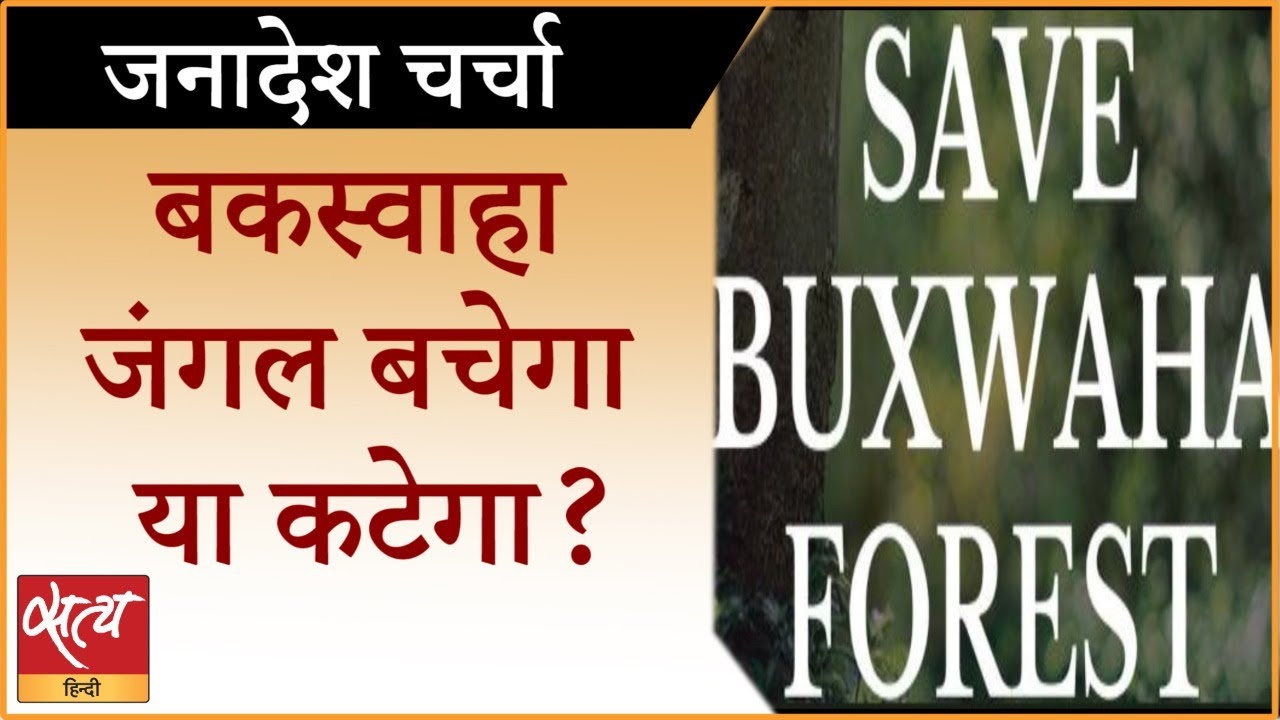 बकस्वाहा जंगल बचेगा या कटेगा ? । BUXWAHA FOREST । ENVIRONMENT DAY - YouTube
