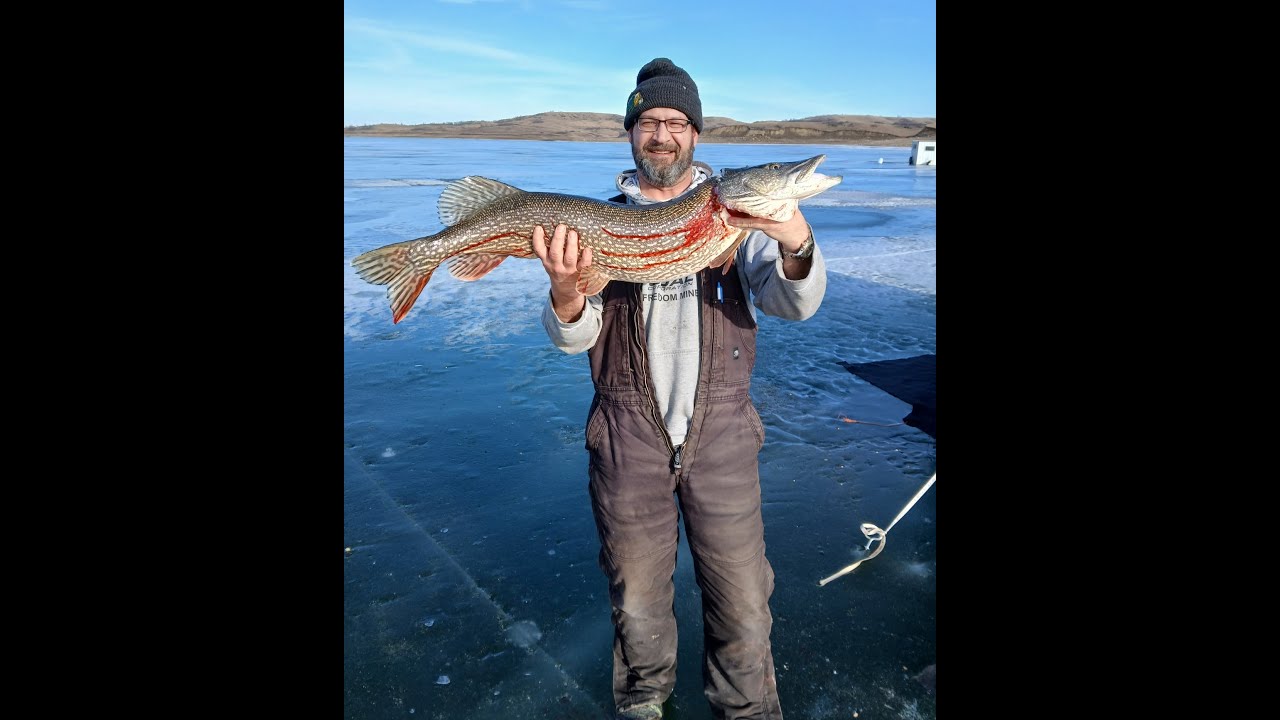 2 7 2026 19 Pound Pike Shaky Shaft Addicts - YouTube