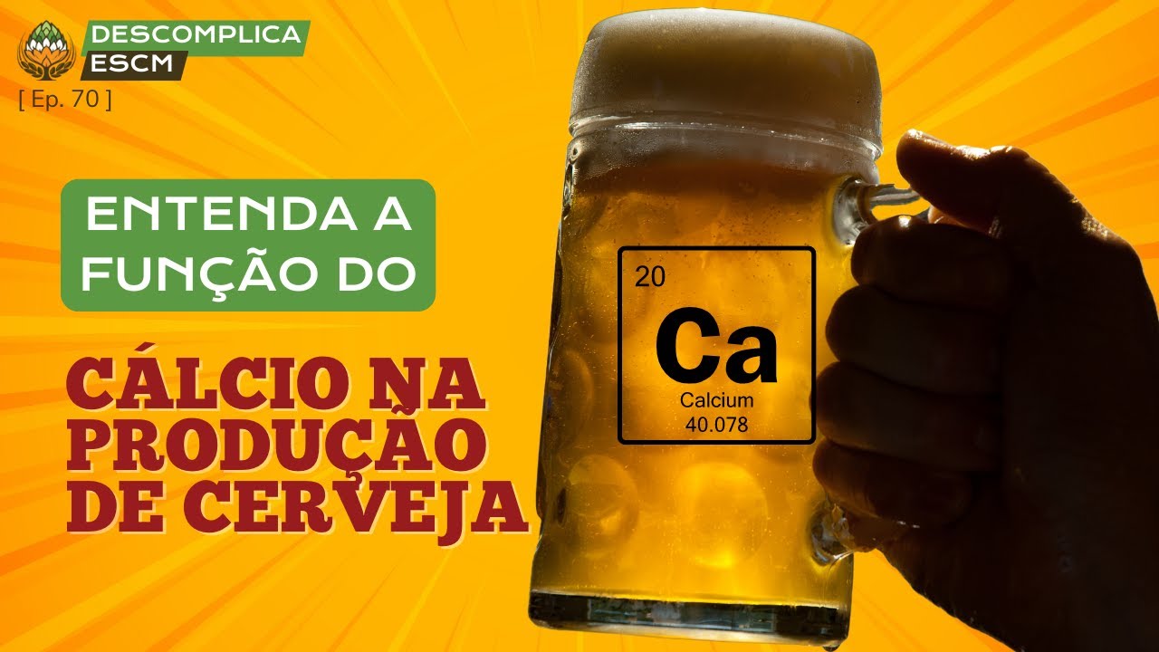 Qual é a função do cálcio na produção de cerveja? | Descomplica ESCM ...