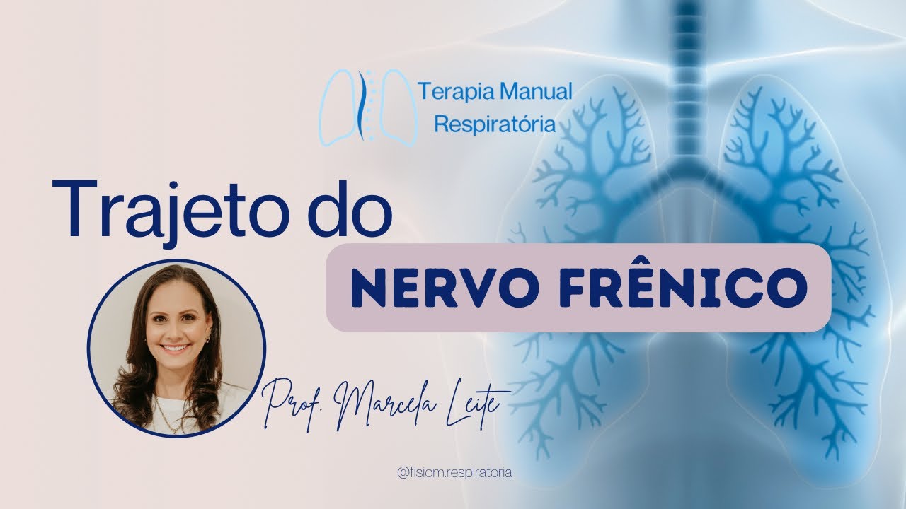 Trajeto do Nervo Frênico - YouTube