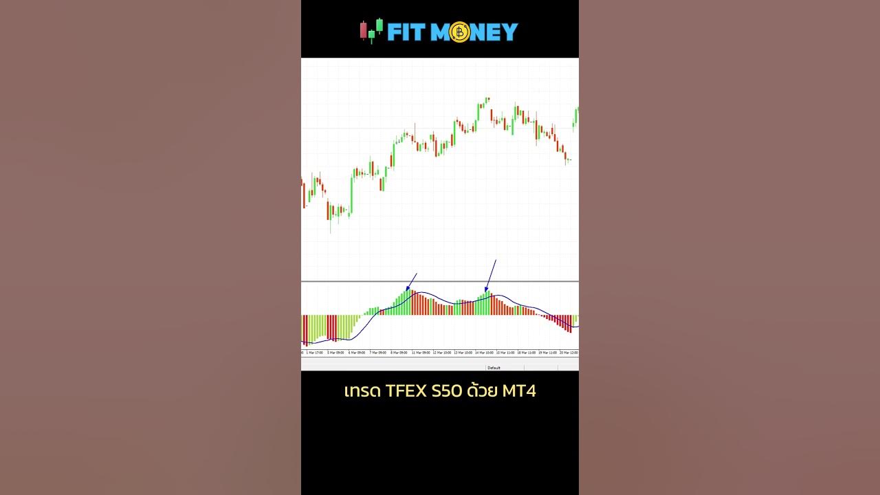 เทคนิคเทรด TFEX S50 ด้วย MT4 ทำกำไรง่าย ๆ เพียงแค่ใช้ MACD Color #FitMoney #TFEX #MT4 #MACDColor ...