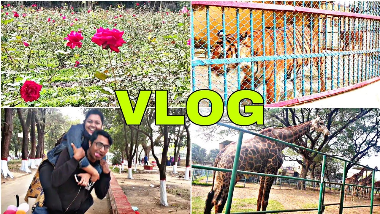 বাংলাদেশ জাতীয় চিড়িয়াখানা, মিরপুর || Dhaka Zoo *VLOG* || Bangladesh National Zoo || Irin ...
