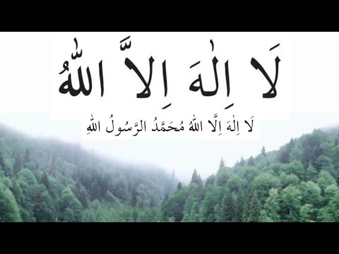 Çoğunluğa uyarsan seni ALLAH yolundan saptırırlar. Nurettin Yıldız