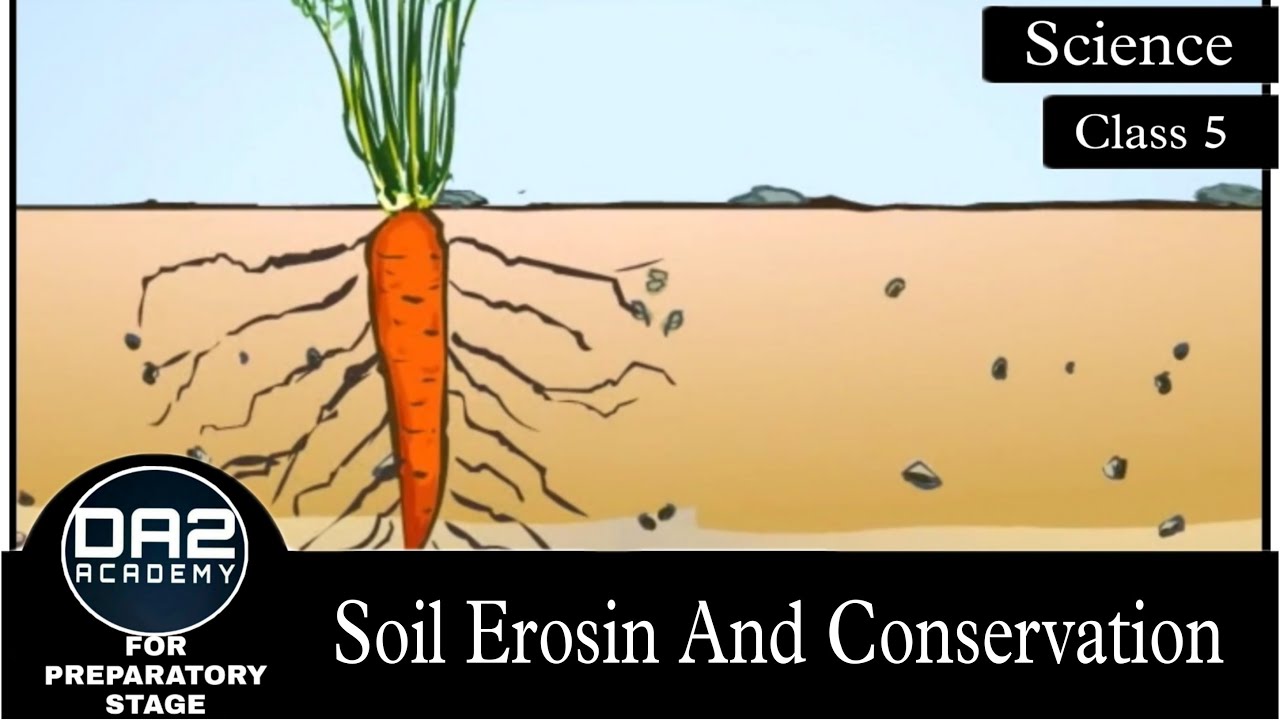 Soil Erosion and Conservation |Science English for 5th| da2academy for ...