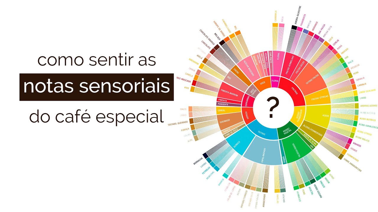 Como Sentir as Notas Sensoriais dos Cafés Especiais? - YouTube