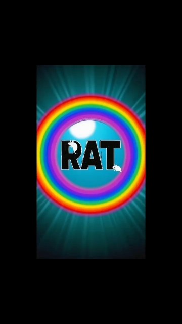 Colorful Rat 🐀 #rainbow #viralshorts - YouTube