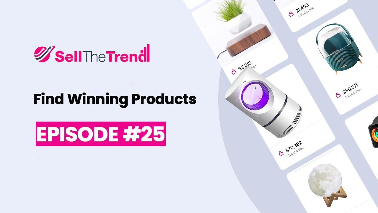 EPISODE #25: How to find winning products on Sell The Trend - YouTube