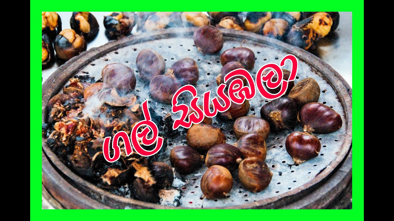 Gal Siyambala (ගල් සියඹලා) - YouTube