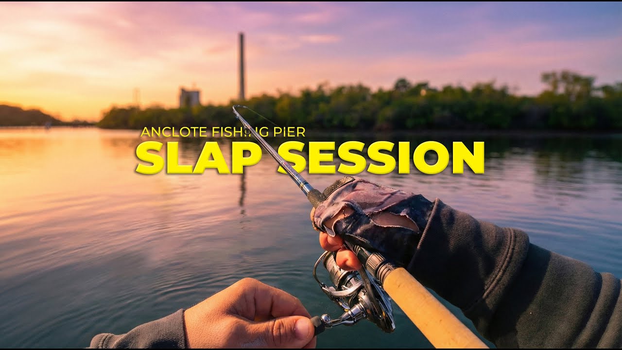 Another SLAP session in the books at Anclote Pier | Yank Fishing - YouTube