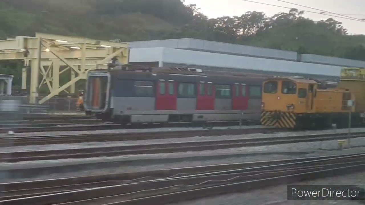 (白頂女王反向前與後) SP1900 F219-H218-M217 泊喺八鄉車廠指定泊位及SP1900+SP1950 P220、D531 ...