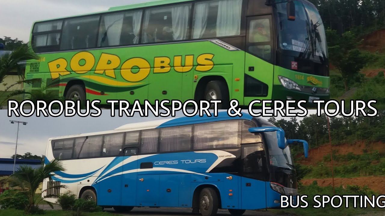 BUS SPOTTING: ROROBUS TRANSPORT 1425 & CERES TOURS 11662 - YouTube