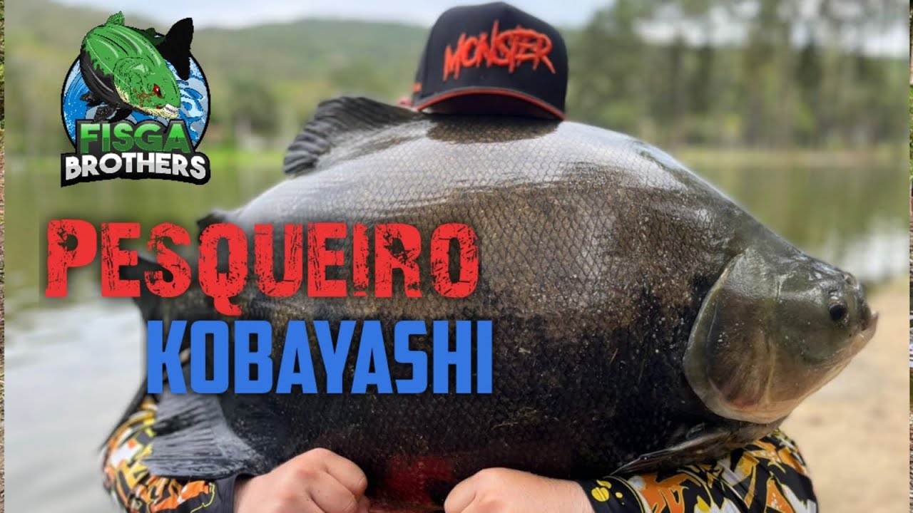 Pesqueiro Kobayashi - KOBA É KOBA - Iniciando nossa temporada!! - YouTube