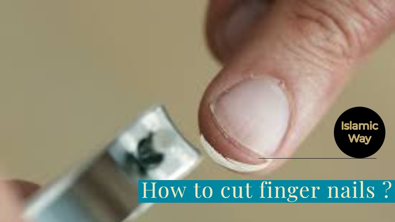 How to Cut Fingernails Properly?? | Personal Hygiene - YouTube