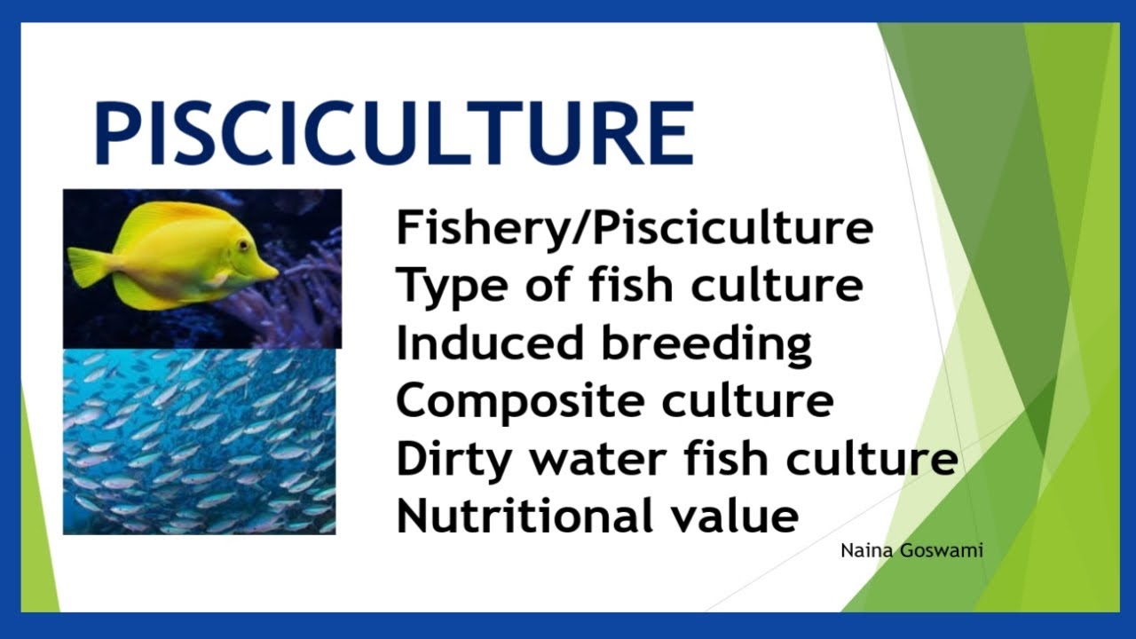 Pisciculture. Fishery. SSC, NEET, viii, xii. Biology.Naina Goswami ...