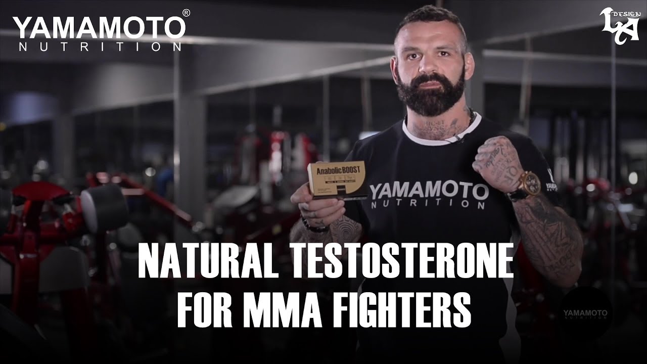 Natural Testosterone Boosters For MMA Fighters: How To Boost Your ...