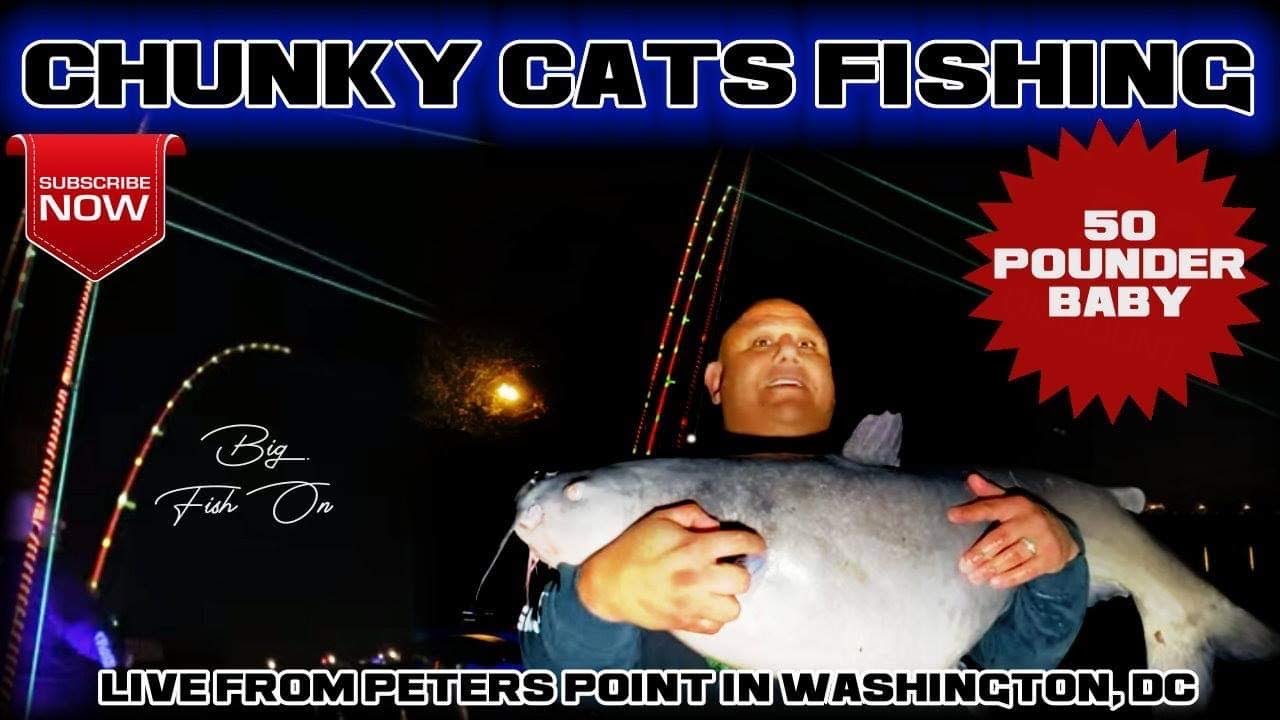Chunky Cats Fishing 50Lbs Blue Catfish Eel Dominates And Wins@ 1:52:30 ...