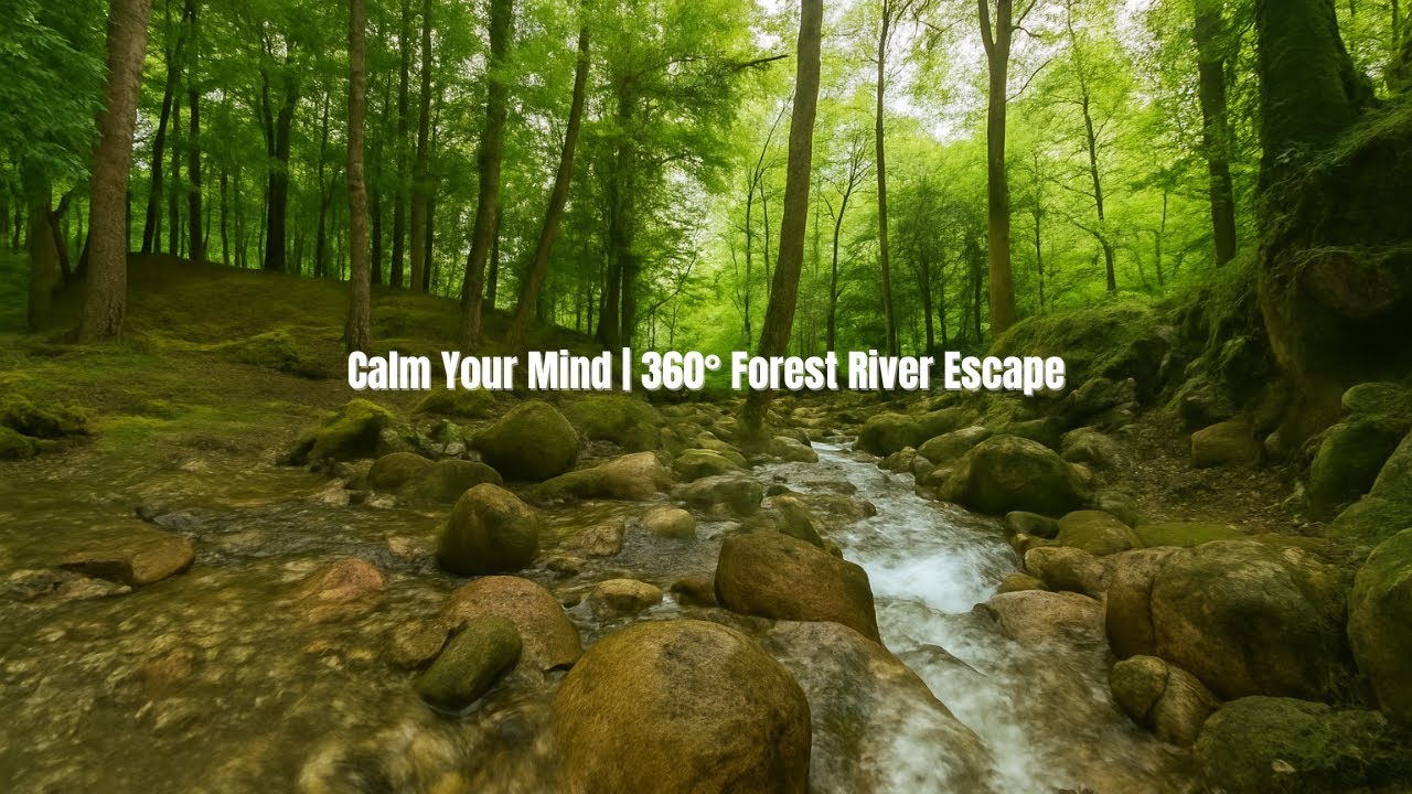 Recharge Your Mind | Relaxing 360° Forest River Escape - YouTube