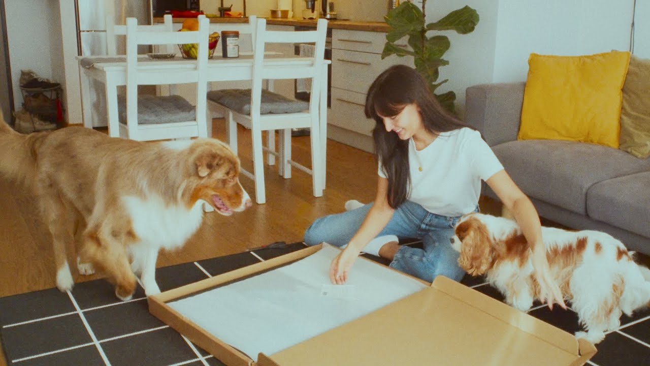 UNPACKING framed poster from PrettyMuchStudio - YouTube