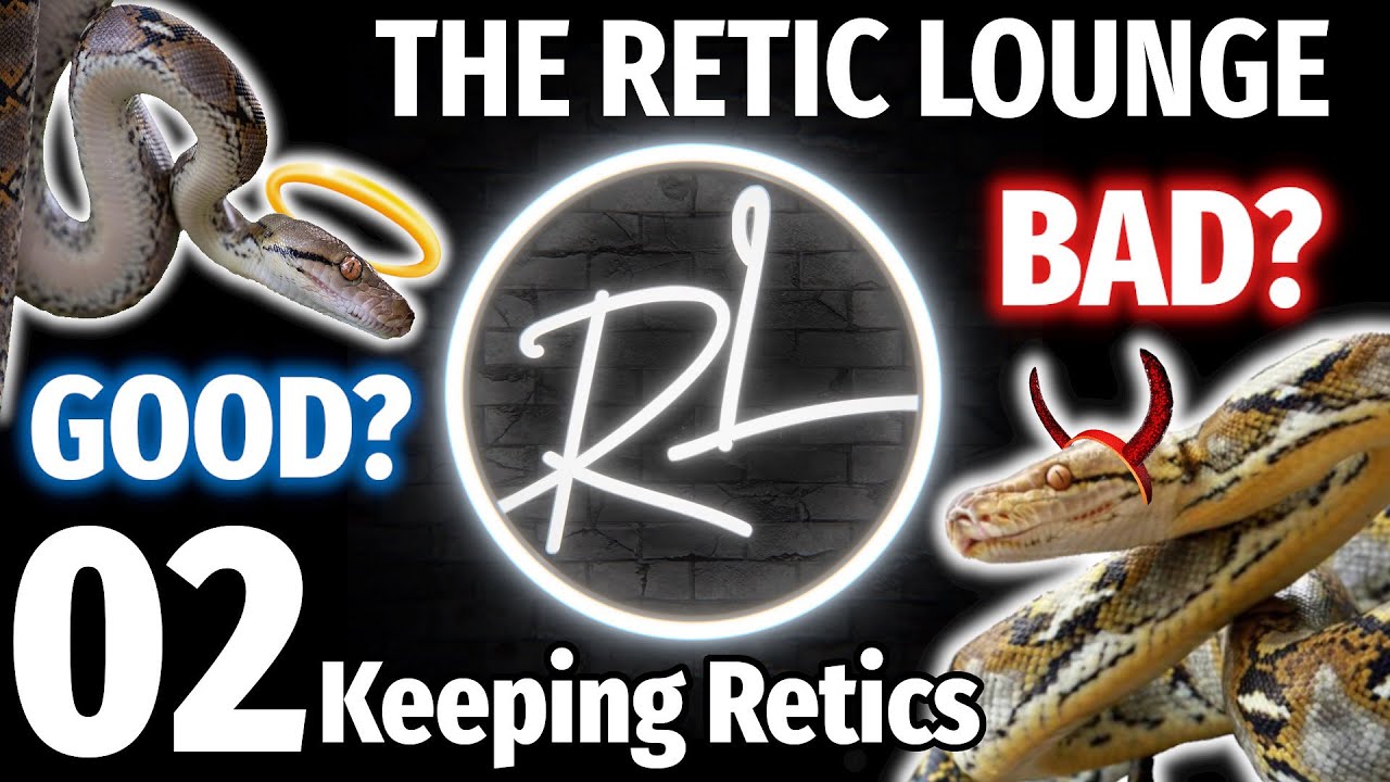 The Retic Lounge | EP 2 | Is a PET RETIC right for YOU? - YouTube