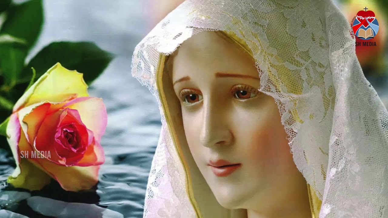 A TRIBUTE TO MOTHER MARY | പരിശുദ്ധ ജനനി ... | CHRISTIAN DEVOTIONAL ...