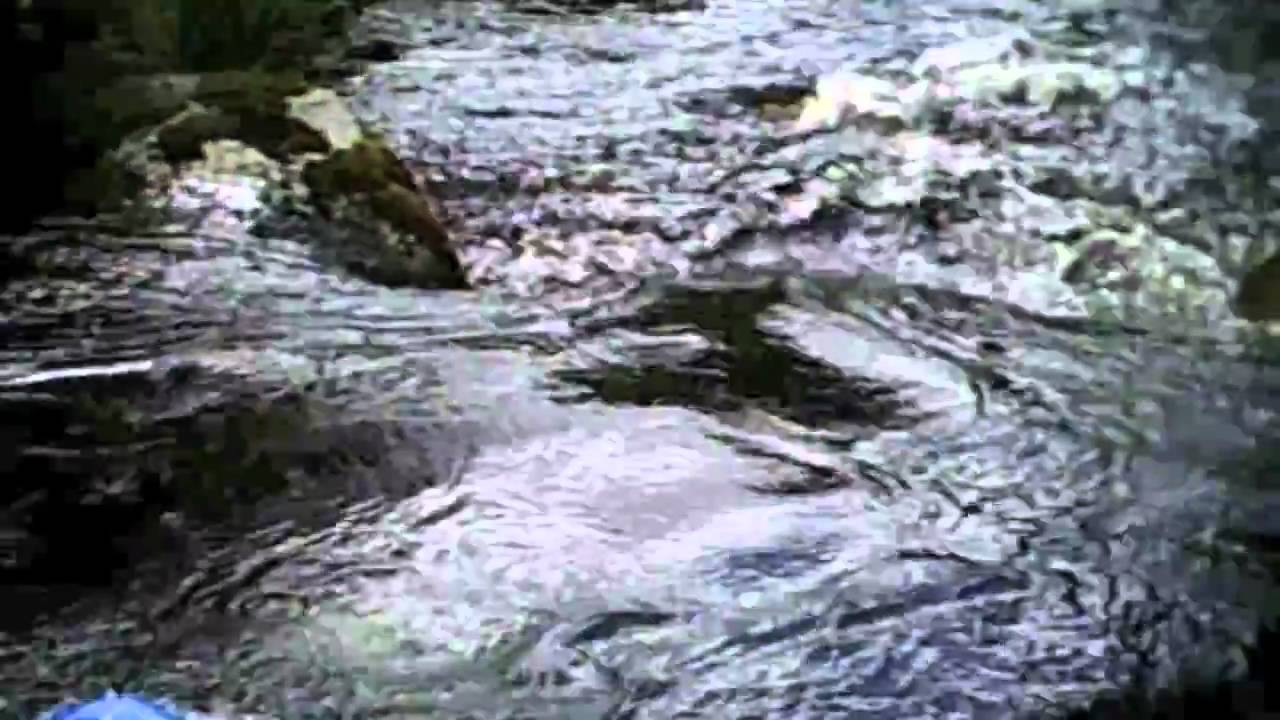 Lower Tryweryn Kayaking - YouTube