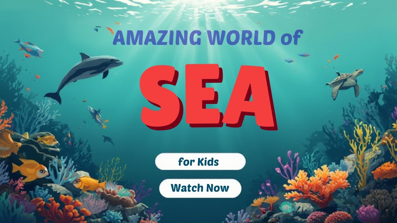 Sea Animals || English Vocabulary || Fun learning for Kids - YouTube