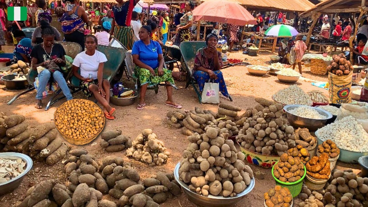 Largest Rural African Market Day in Maikatako 🇳🇬 West Africa - YouTube