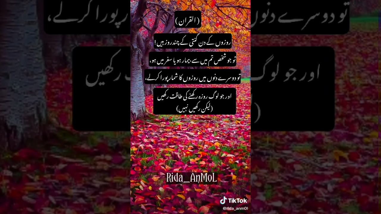 Ahtsham(4) - YouTube